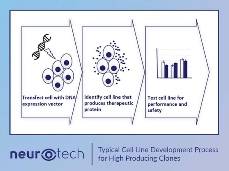Encapsulated Cell Therapy | Science & Technology | Neurotech